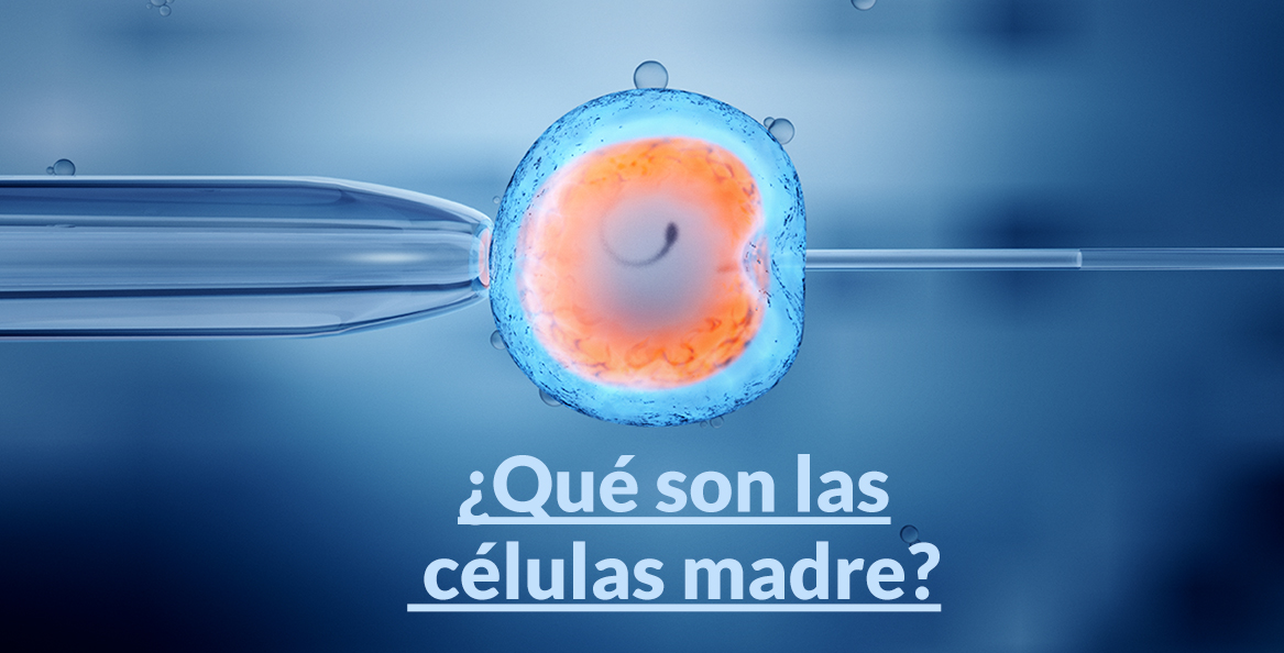 Noticias – EUROLIV